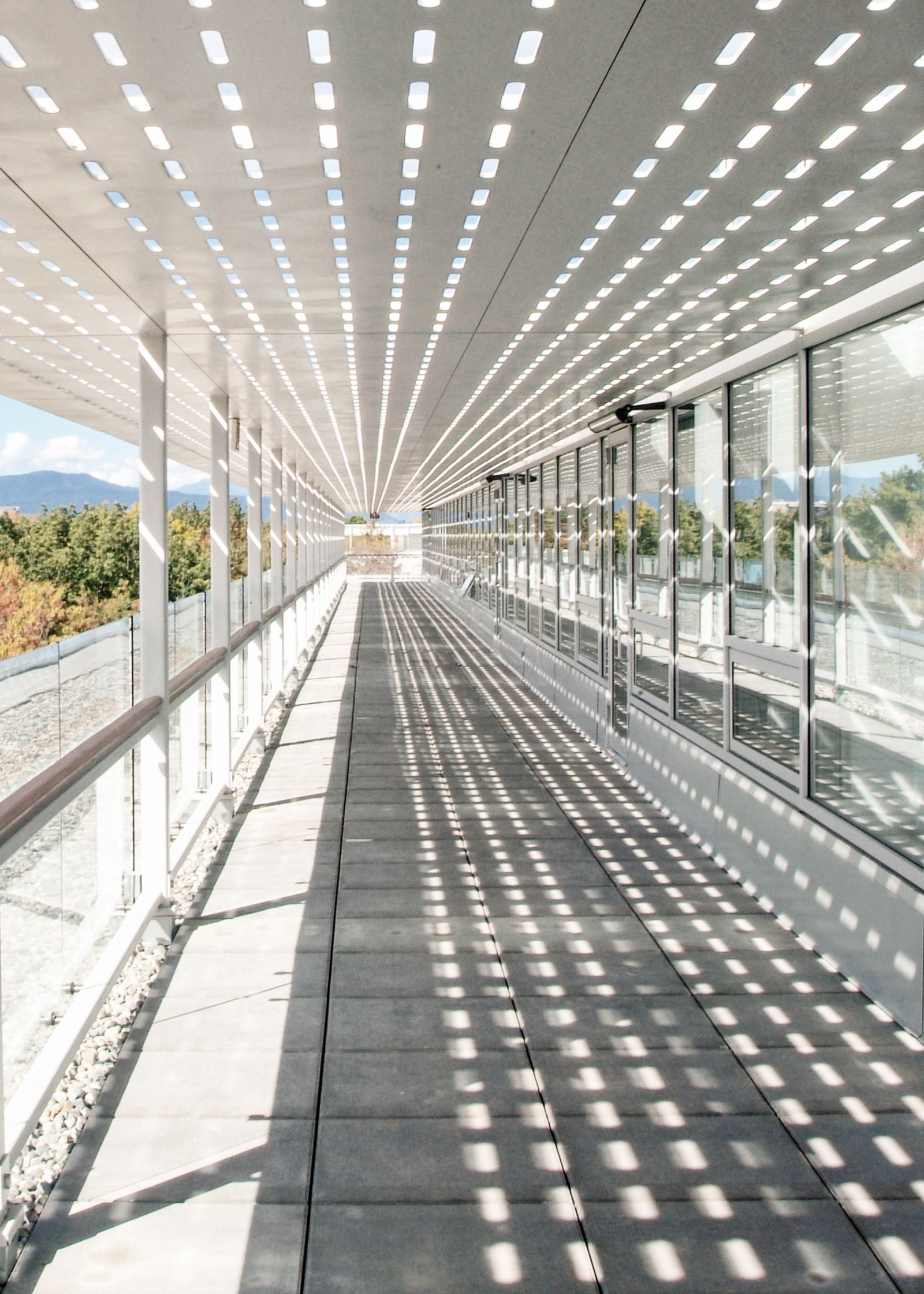 architects—Alliance ︱ Projects