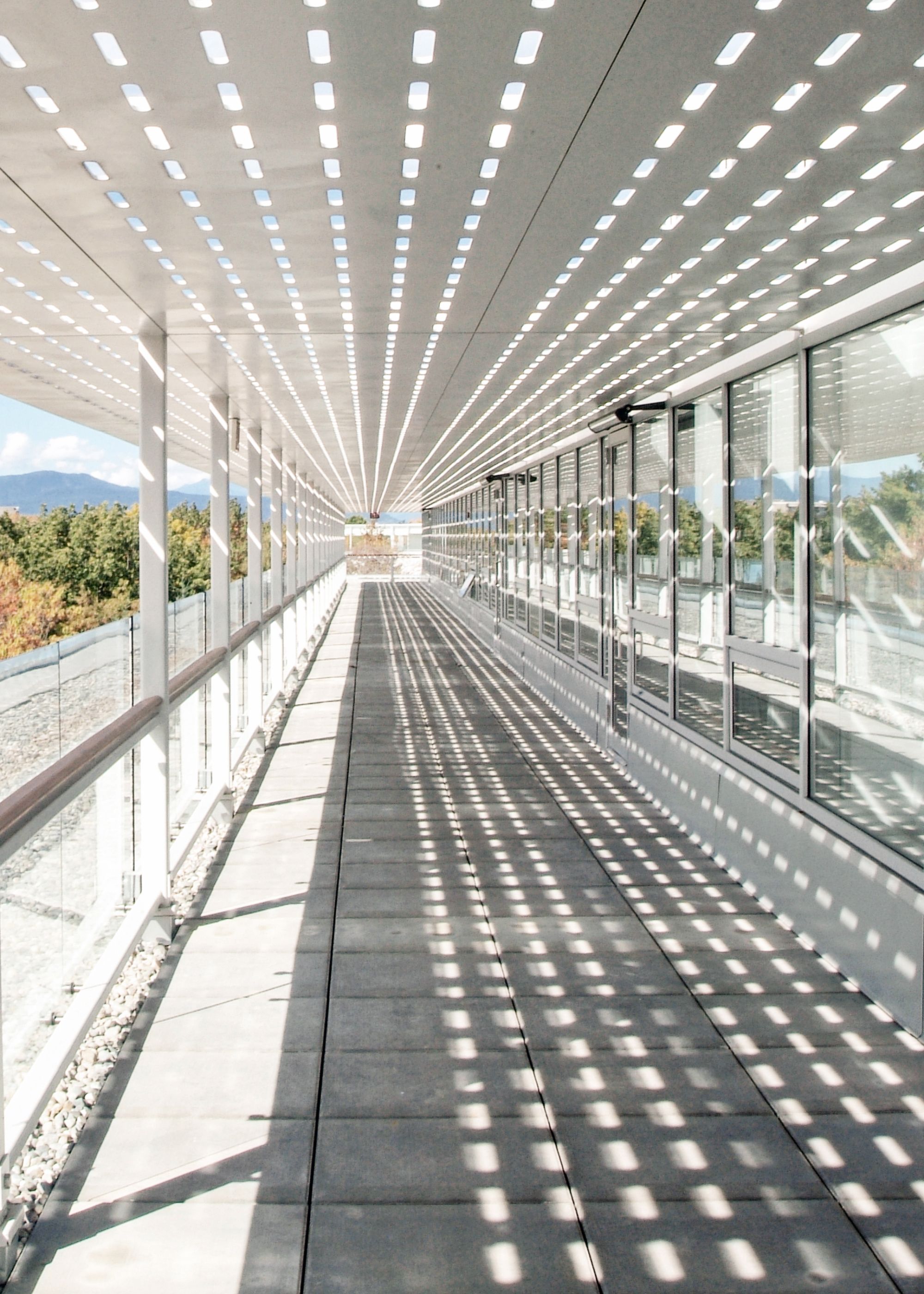 architects—Alliance ︱ Projects